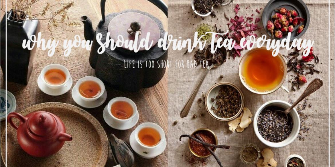 Why You Should drink Tea Everyday. 为什么你应该每天喝茶。