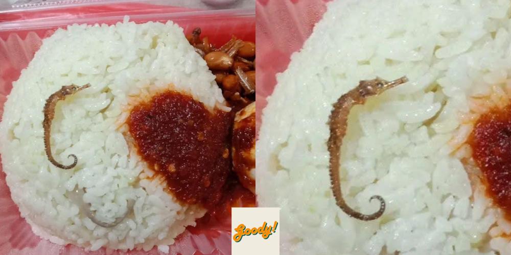 Surprise On A Plate: Nasi Lemak Served With A Deep-Fried Seahorse ...
